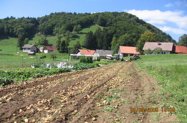Dolomit Janko Kosmač s.p.